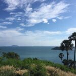 Phuket Lookouts Tour with Lunch at Organic Farm - Authentic Experiences and Insights from Reviewers