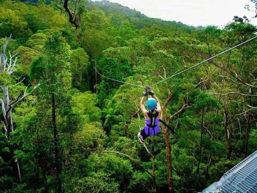 Phuket: Phang Nga Monkey Cave, Rafting & Zipline Day Tour - What Makes This Tour Stand Out