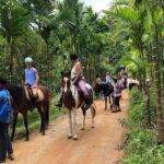 Phuket Scenic Horseback Riding Adventure - Authentic Voices and Practical Insights