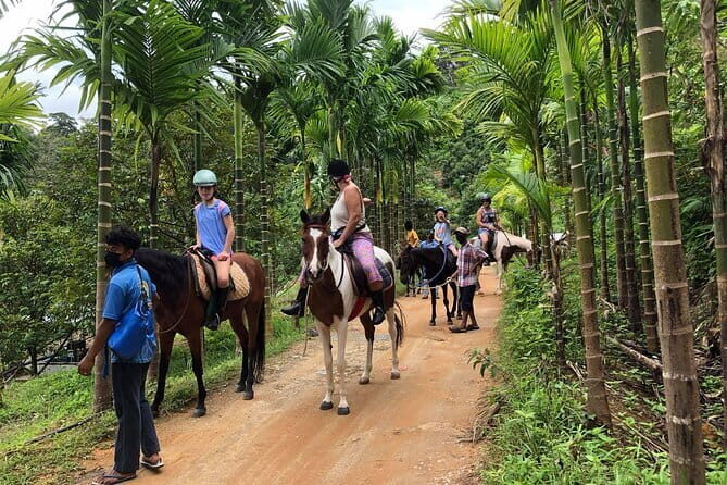 Phuket Scenic Horseback Riding Adventure - Authentic Voices and Practical Insights