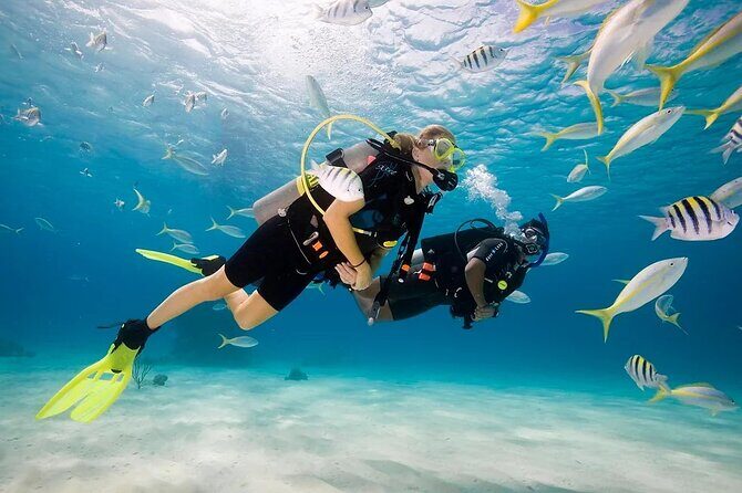 Phuket Scuba Diving and Snorkeling Offshore 2 Islands Full-Day by Speed Boat - Transportation, Equipment, and Overall Value