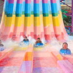 Phuket Splash Jungle Water Park Full Day Ticket with Transfer - The Value and Why It Works