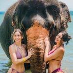 Phuket:Beach walk with elephants, rain & care. 2.5 hours - What Makes This Tour Stand Out?