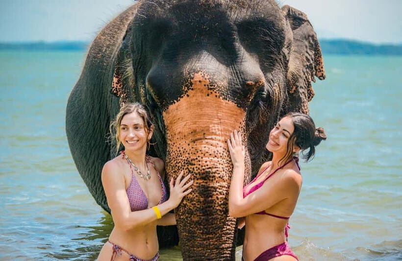 Phuket:Beach walk with elephants, rain & care. 2.5 hours - What Makes This Tour Stand Out?