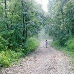 Phulchoki bird-watching tour - The Value of the Phulchoki Bird-Watching Tour