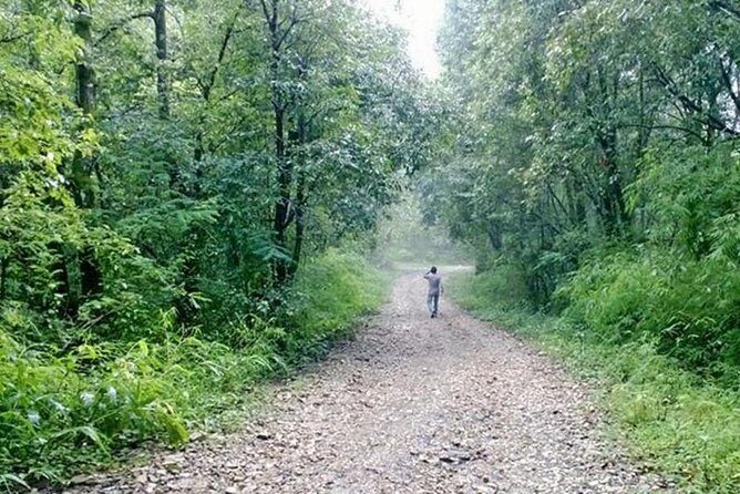 Phulchoki bird-watching tour - The Value of the Phulchoki Bird-Watching Tour