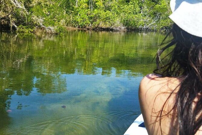 PhuQuoc -explore Culture, Starfish, Beach,Kayak -South&North - Who Will Appreciate This Tour?