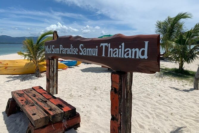 Pig Island & Koh Tan Tour by Speed Boat (Snorkeling & Kayaking) - What Travelers Are Saying