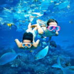 Pigeon Island Snorkeling Tour from Uppuveli Beach - What’s Included and How It Works