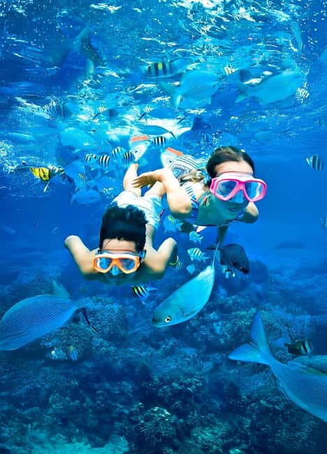 Pigeon Island Snorkeling Tour from Uppuveli Beach - What’s Included and How It Works