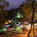 Pine forest camping near Shimla - 2 nights - Practical Tips