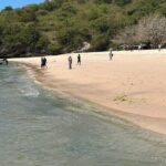 Pink Beach Lombok snorkeling & Day Trip Departure from Lombok - The Itinerary in Detail