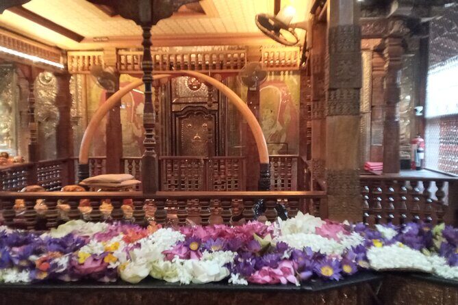 Pinnawala private day trip from colombo or negombo - The Tea Factory: Savoring Sri Lanka’s Famous Brew