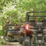 Playa del Carmen Buggy Tour with Cenote Swim and Mayan Village Visit - Who Is This Tour Best Suited For?
