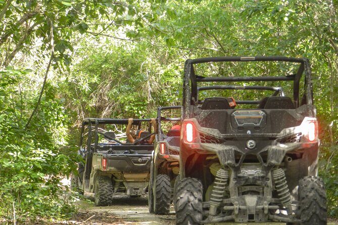 Playa del Carmen Buggy Tour with Cenote Swim and Mayan Village Visit - Who Is This Tour Best Suited For?