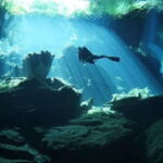 Playa del Carmen: Diving at Cenote Dos Ojos - Experience in Detail: The Circuits and the Environment