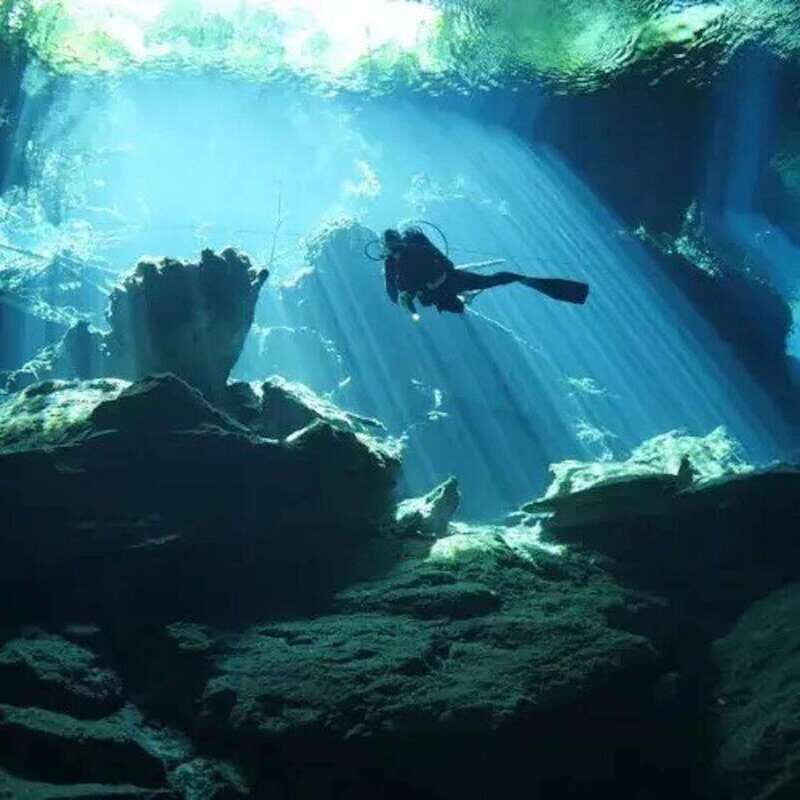 Playa del Carmen: Diving at Cenote Dos Ojos - Experience in Detail: The Circuits and the Environment