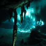 Playa del Carmen: Mind-Blowing Diving at Cenote Dos Ojos - Why This Tour Excels