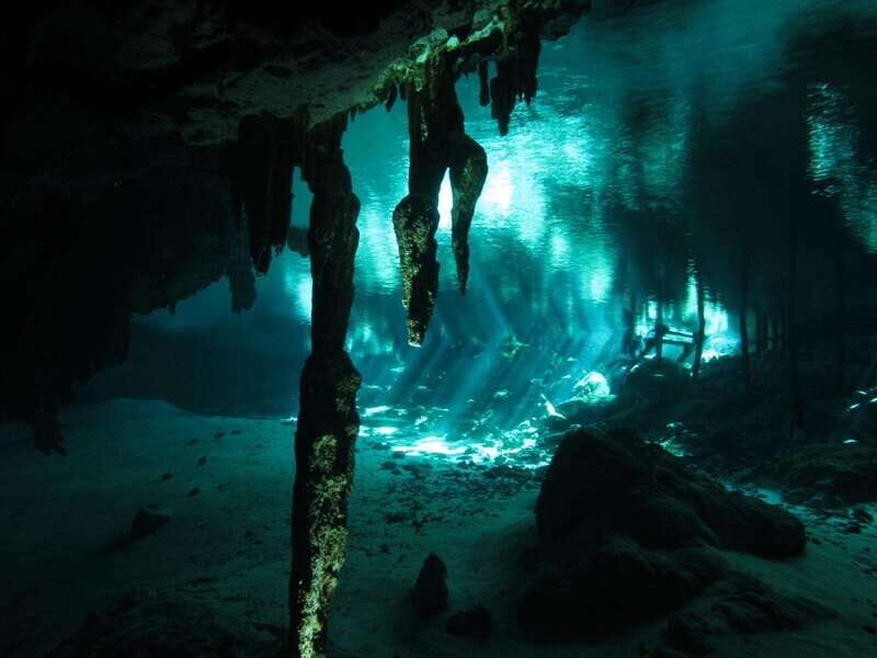 Playa del Carmen: Mind-Blowing Diving at Cenote Dos Ojos - Why This Tour Excels
