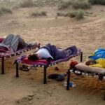 Pleasant 02 Days 01 Night Camel Safari - What Makes This Tour Stand Out?