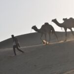 Pleasant Non-Touristic Sun Rise Tours with Breakfast on Dunes - The Dunes and Camel Safari