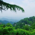 Plog and Hike Mount Mogan Nature Reserve  Guided Outdoor Tour from Hangzhou - What to Expect: The Itinerary Explained