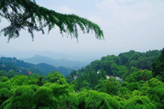 Plog and Hike Mount Mogan Nature Reserve  Guided Outdoor Tour from Hangzhou - What to Expect: The Itinerary Explained