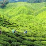 Pocket Friendly Package - FAQs about the Pocket Friendly Package