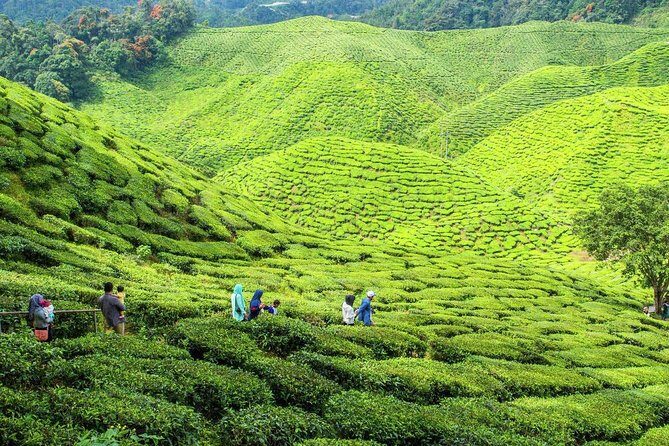 Pocket Friendly Package - FAQs about the Pocket Friendly Package