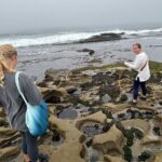 Point Loma Tide Pool Tour - The Tide Pool Experience