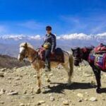Pokhara: 1-Hour Horseback Ride with Hotel Pickup - Setting the Scene in Pokhara: What This Tour Offers