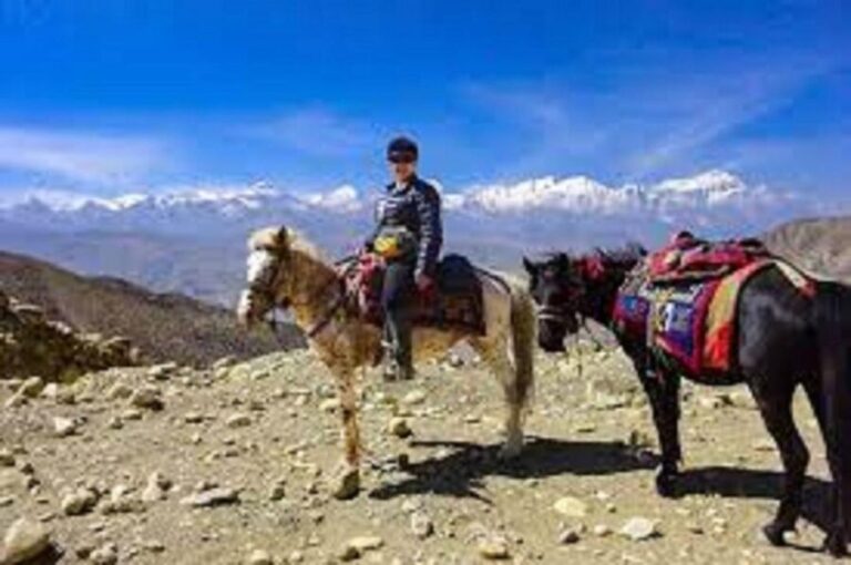 Pokhara: 1-Hour Horseback Ride with Hotel Pickup - Setting the Scene in Pokhara: What This Tour Offers