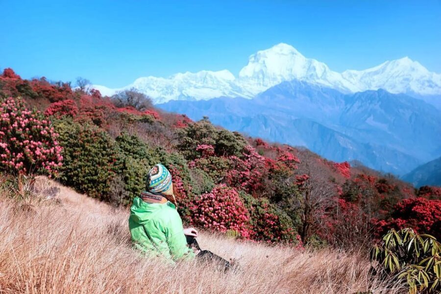 Pokhara: 2 Day Ghorepani & Poon Hill Trek with Sunrise Views - Transport & Accommodation: Comfort in Simplicity