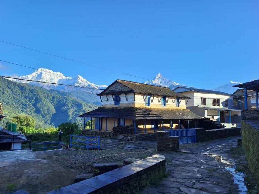 Pokhara: Australian Camp & Dhampus Village Group Join Hike - The Itinerary Breakdown