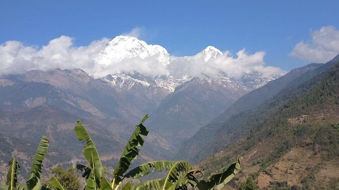 Pokhara: Poon Hill Ghorepani Short Trek - What You Can Expect from Transportation, Accommodation, and Guide Service