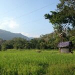 Polonnaruwa Ancient City And Habarana Day Tour From Sigiriya - The Practicalities and Value