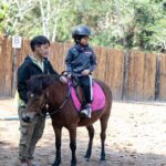 Pony Riding in Luang Prabang - Practical Details & Tips