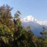 Poon Hill 3 Days short trek - Practical Considerations and Things to Know