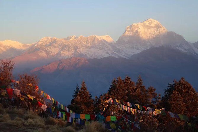 Poon Hill Trek - 04 Days - Why This Trek Offers Great Value