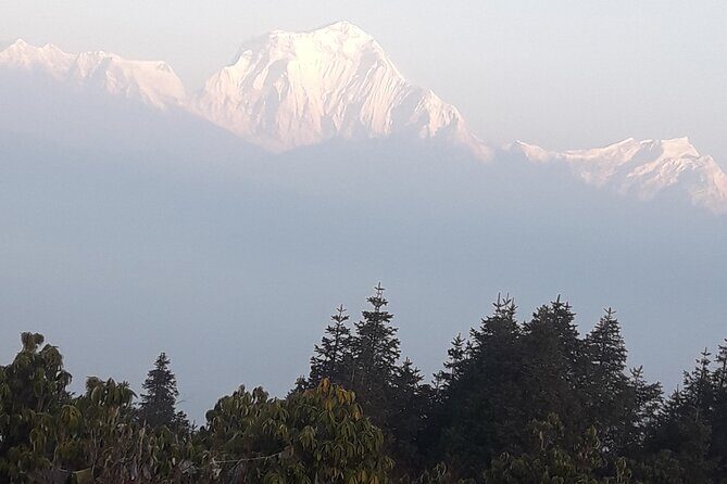 Poon hill Trek 3 days - What Makes This Trek Stand Out