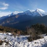 Poon Hill Trek - A Close Look at the Logistics