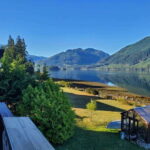 Port Alice: Sea Otter and Wildlife Watching Boat Tour - The Practicalities: What Travelers Should Know