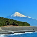 Port Pick-Up: Shizuoka Tour with Licensed Guide and Vehicle - Exploring the Coastal Beauty at Miho-no-Matsubara