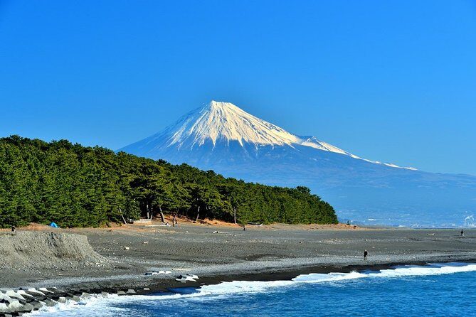 Port Pick-Up: Shizuoka Tour with Licensed Guide and Vehicle - Exploring the Coastal Beauty at Miho-no-Matsubara
