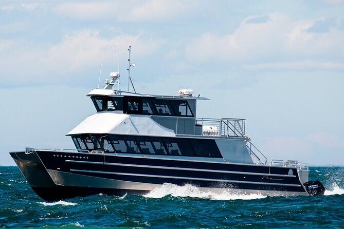 Port Townsend Wildlife Watching Cruise - What the Price Gets You—and What It Doesn’t