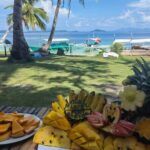 PortBartonDayTour - What Travelers Say: Authentic & Enjoyable