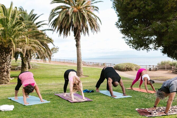Power Up Your Girls Trip with Savannah Mobile Yoga Class - What Makes This Experience Stand Out?