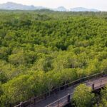 Pranburi Forest Park and Khao Daeng Join Tour from Hua Hin - Practical Tips for Travelers