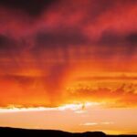 Premier Wildlife Tours in Saguaro National Park - Who Should Consider This Tour?