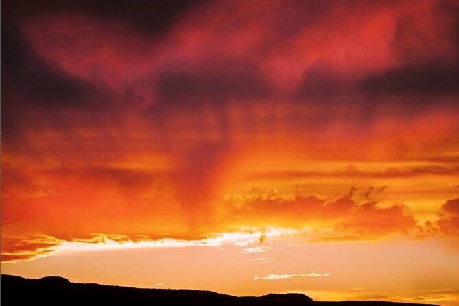 Premier Wildlife Tours in Saguaro National Park - Who Should Consider This Tour?